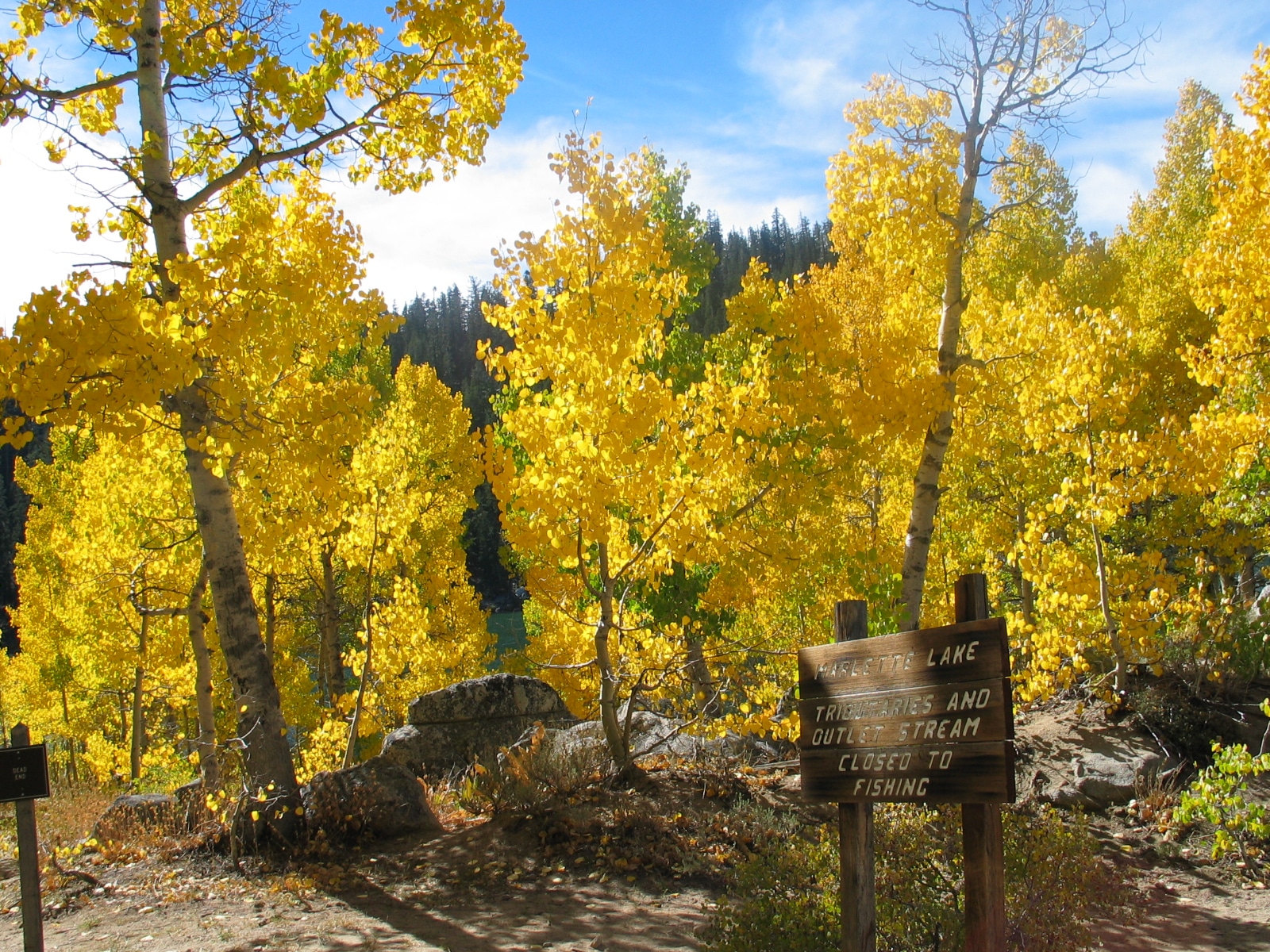 A Few Reasons Why Autumn is One of My Favorite Seasons - Passionate ...