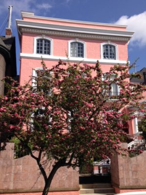 Tree Spotlight: Crataegus laevigata 'Paul's Scarlet' - Paul's Scarlet ...