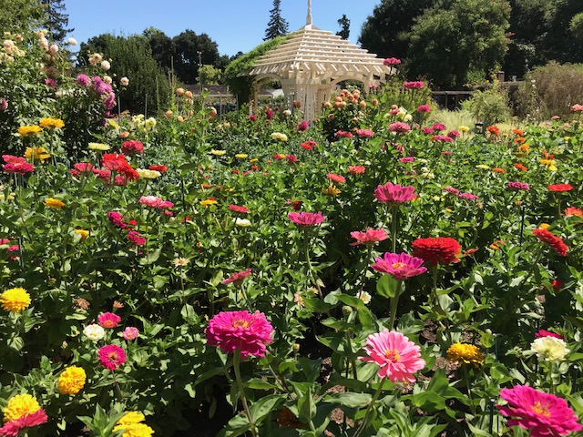 The Elizabeth F. Gamble Garden. Palo Alto, California - Passionate ...